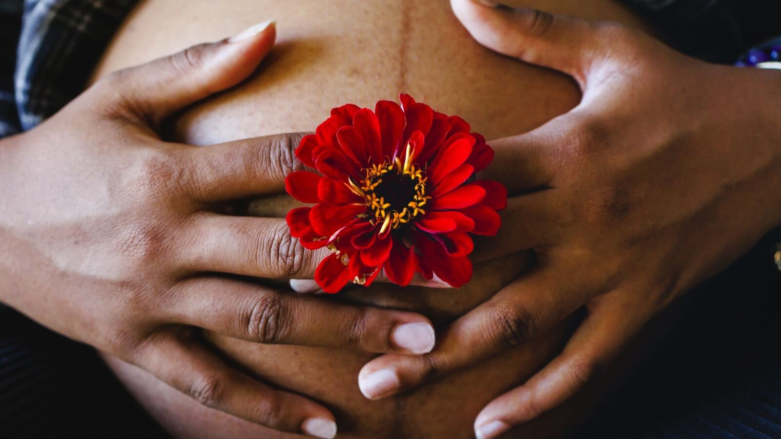 Zodiac Sign Birth Flowers: A Connection to Your Personal Traits